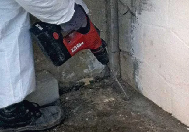 Traitement Termites - La SAPA à la solution Anti-TERMITES